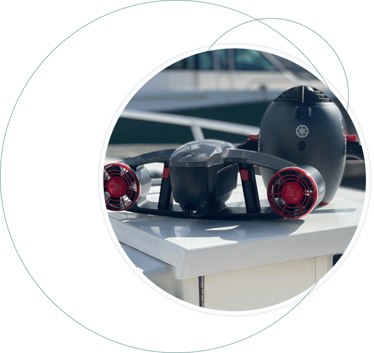 Shore to Shore Management > Services